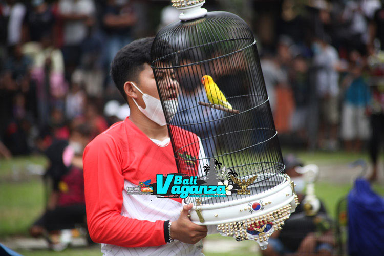 BALI VAGANZA, #8: Candi Putri, LB Fighter yang Pecahkan Rekor Durasi ...