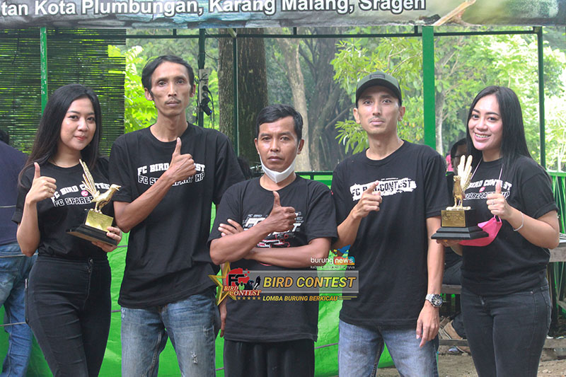BROTHERHOOD BIRD CONTEST SRAGEN: Tampil Menawan, Murai Batu Artis ...