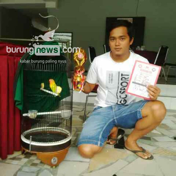 BnR 36 BANJARNEGARA: 3 Kelas Love Bird Ludes, Pleci Lugas Nyeri ...